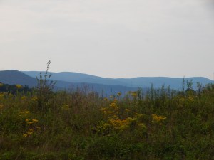 Our Wedding Day: Allll the Pictures! – Allison Marie