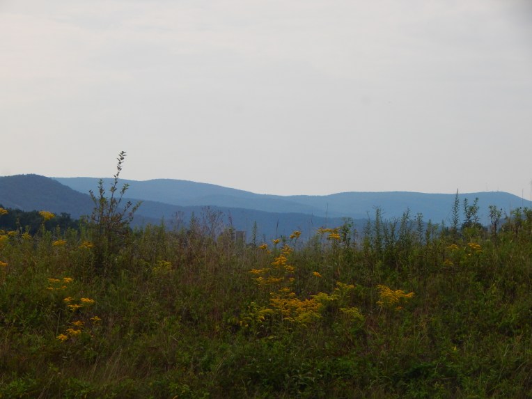 Our Wedding Day: Allll the Pictures! – Allison Marie