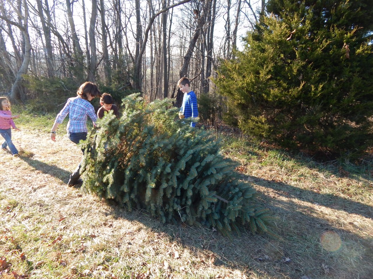 Q&A – Sully and Allison – Allison Marie