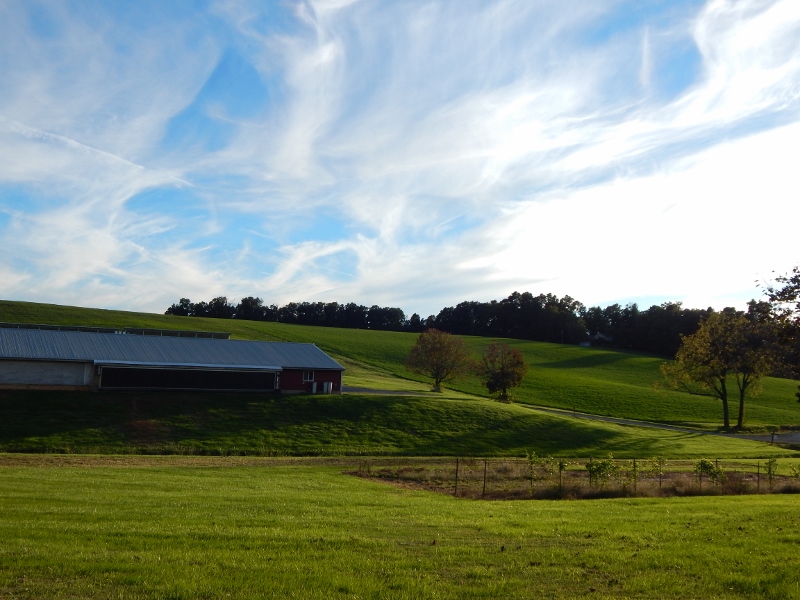 About – Allison Marie