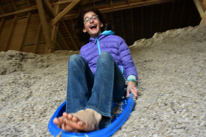 How to Sled Without Snow – Allison Marie