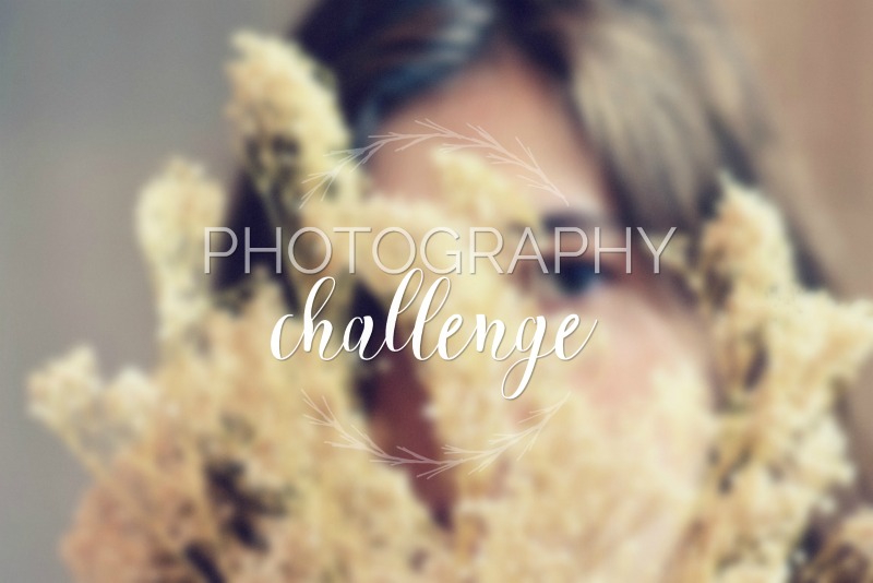 Photography Challenge {My Entries} – Allison Marie