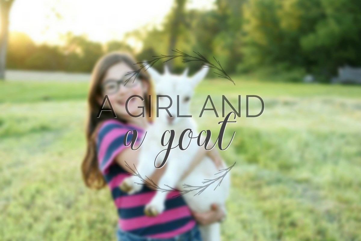 A Girl and a Goat {Extreme Cuteness Photoshoot} – Allison Marie