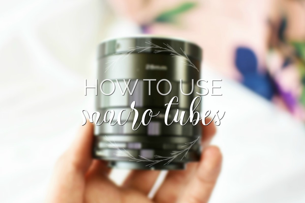 How to Use Macro Extension Tubes on Your DSLR – Allison Marie