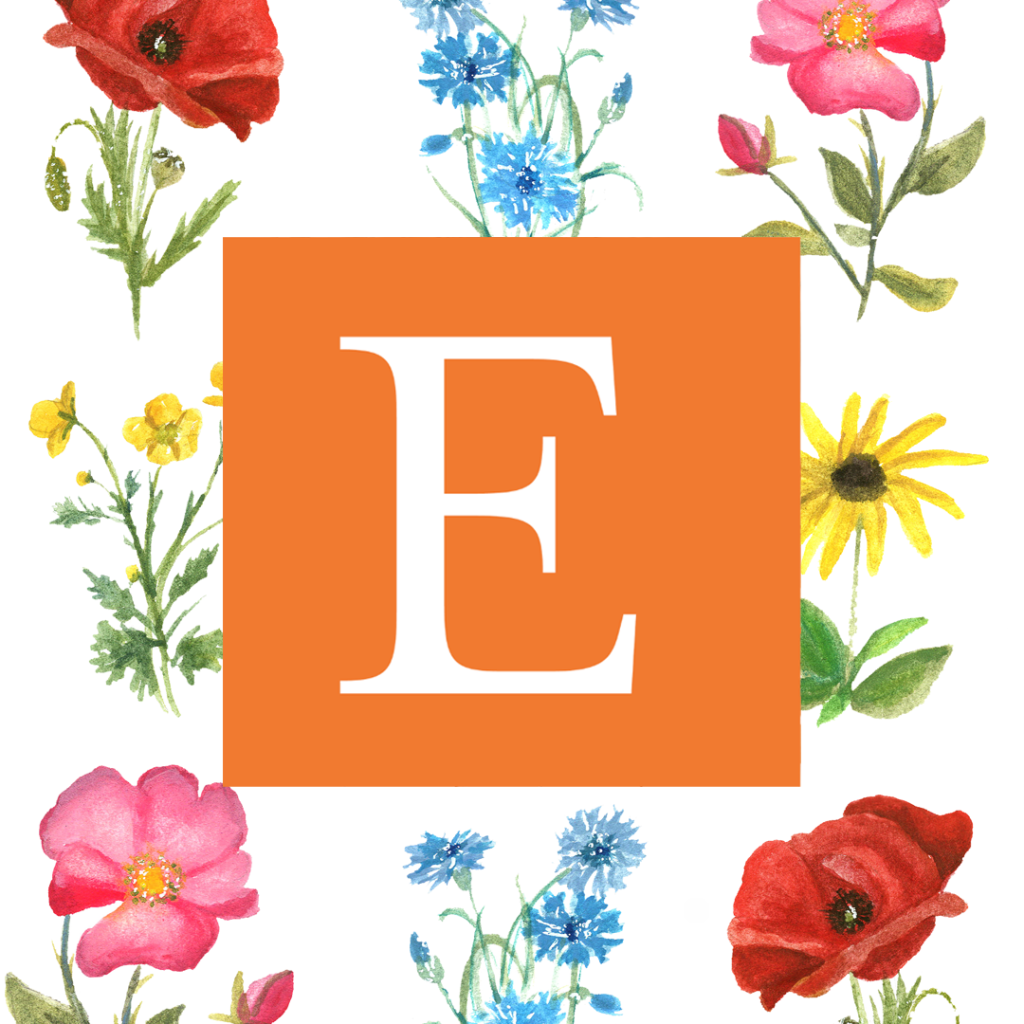 Fun & Creative Pen Pal Ideas – Allison Marie