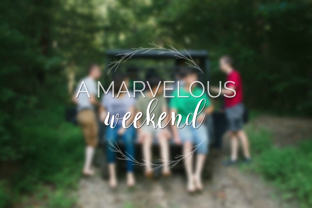 Creek Adventures, Terrible Puns, and a Marvelous Weekend – Allison Marie
