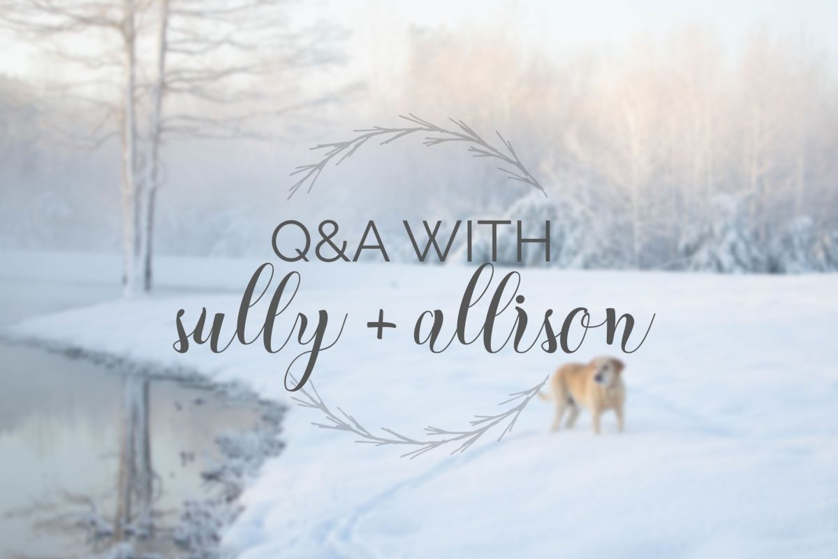 Q&A – Sully and Allison – Allison Marie