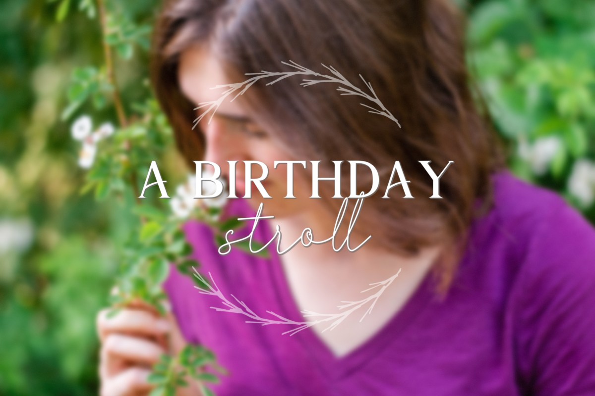 A Golden Hour Birthday Stroll – Allison Marie