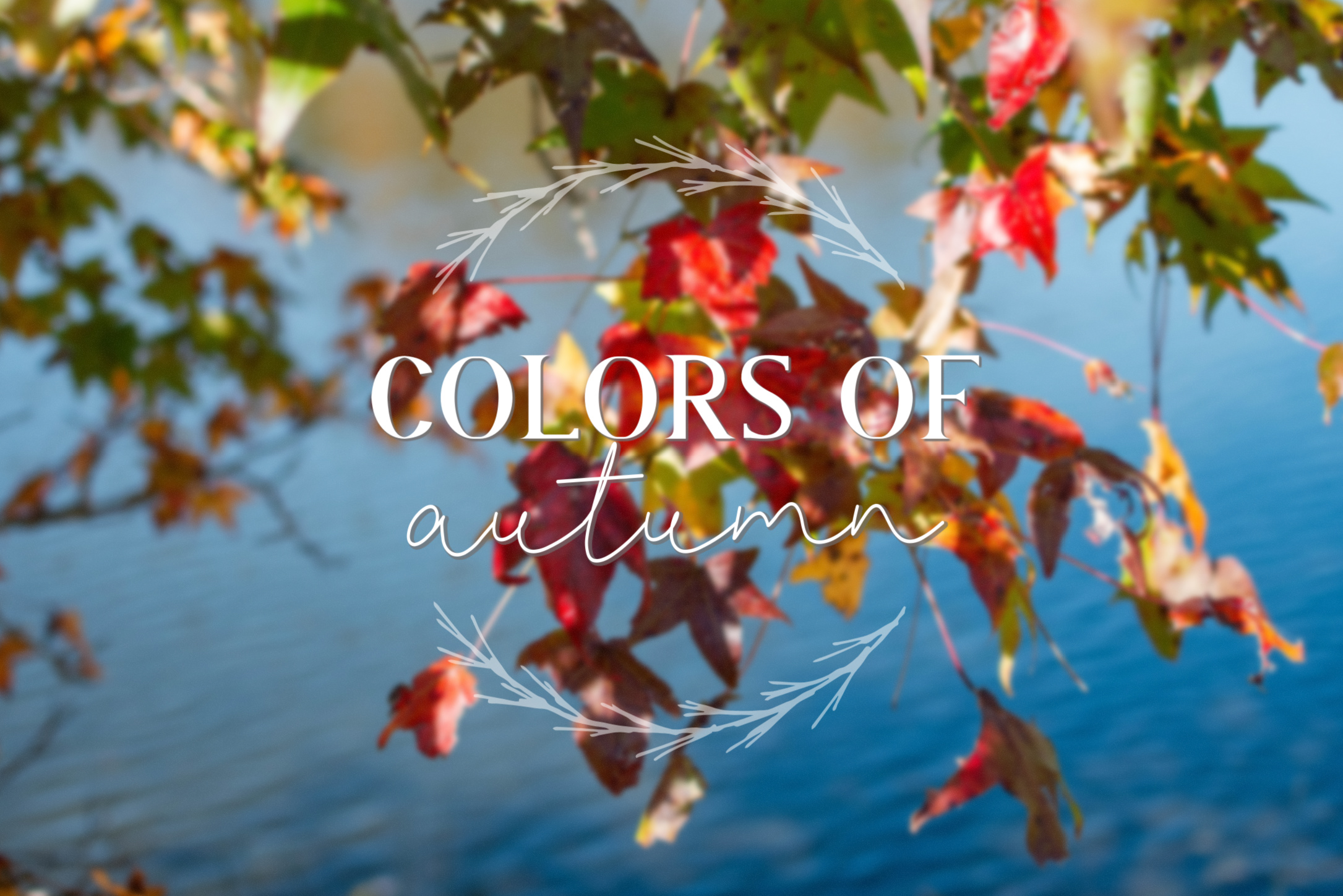 Colors of Autumn – Allison Marie