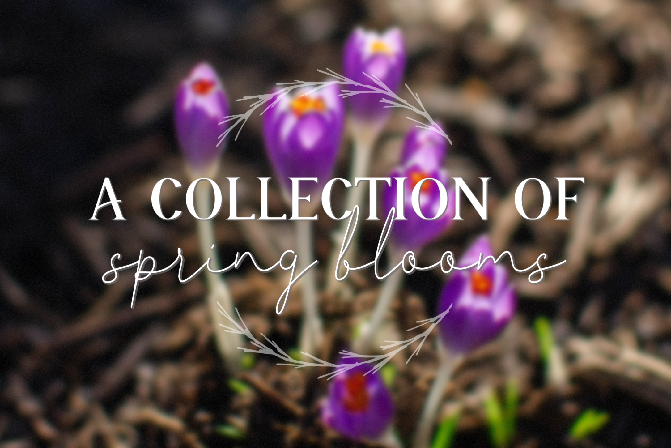 Allison Marie – Photography, Artsy Things, & Lifestyle Inspiration
