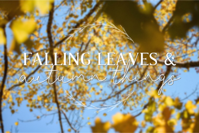 Allison Marie – Photography, Artsy Things, & Lifestyle Inspiration
